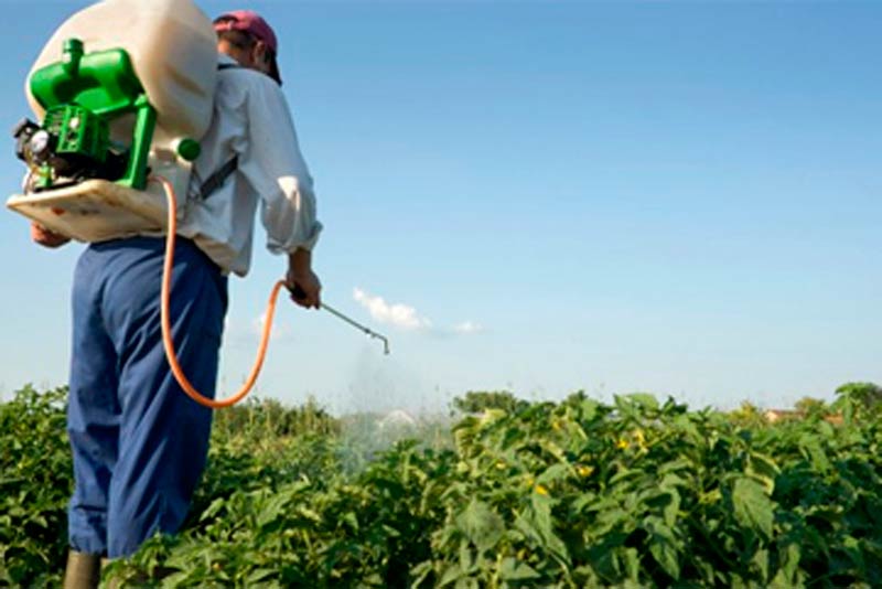 Incrementan producción de medios biológicos para la agricultura