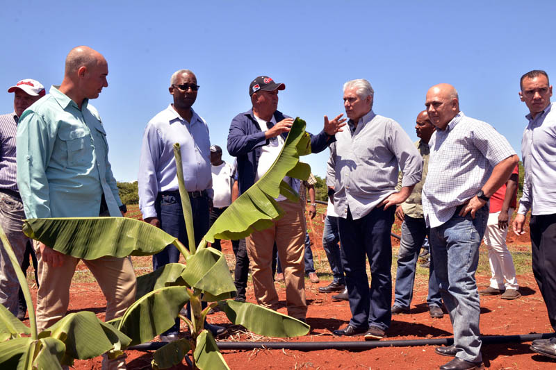 Visita Presidente cubano municipio de Banes